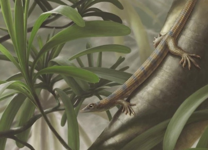 Species New to Science: [Paleontology • 2018] Ascendonanus nestleri ...