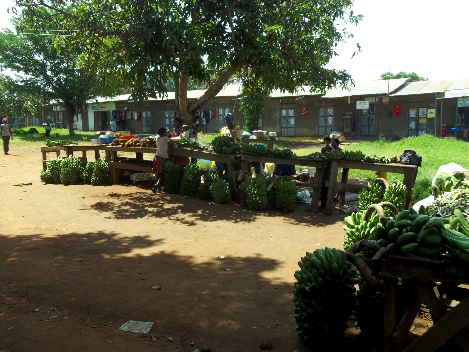 MIKE'S GREAT ADVENTURE: ISLAND IN THE SUN - Kalangala, The District Capital