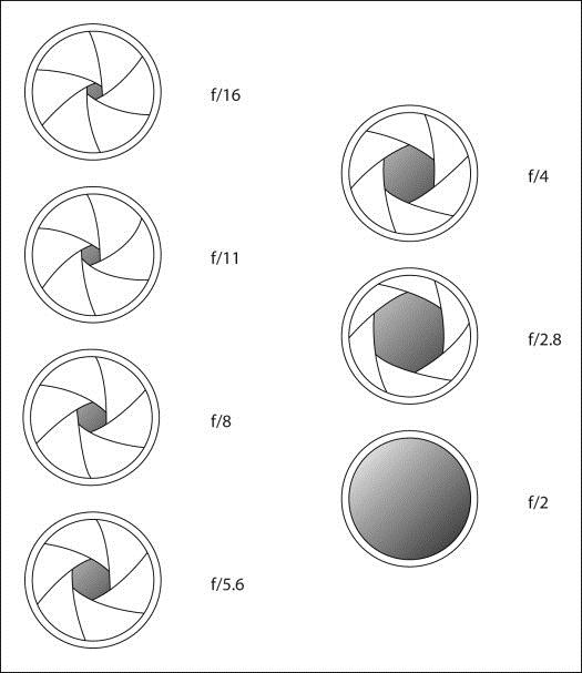Freedom to Look: OCA Level 1 Learning Log: The Exposure Triangle ...