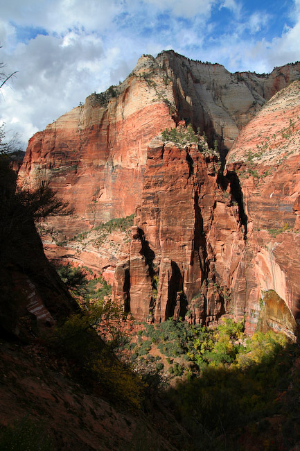 Gallery: Zion National Park ~ Utah Red Rocks