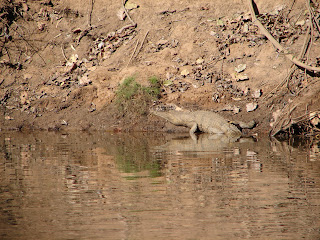 Steve and Dee's Australian tour: Springvale Homestead-NT.
