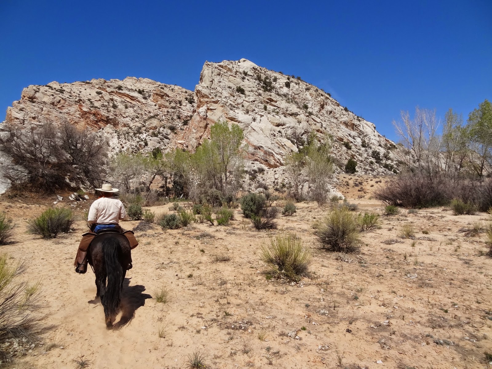 Dream Packer Trail Adventures: Paria River to Lower Hackberry Canyon, Utah