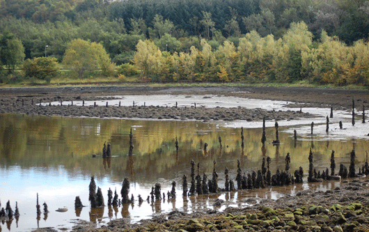 Off-at-a-Tangent: TIMBER PONDS ON THE CLYDE