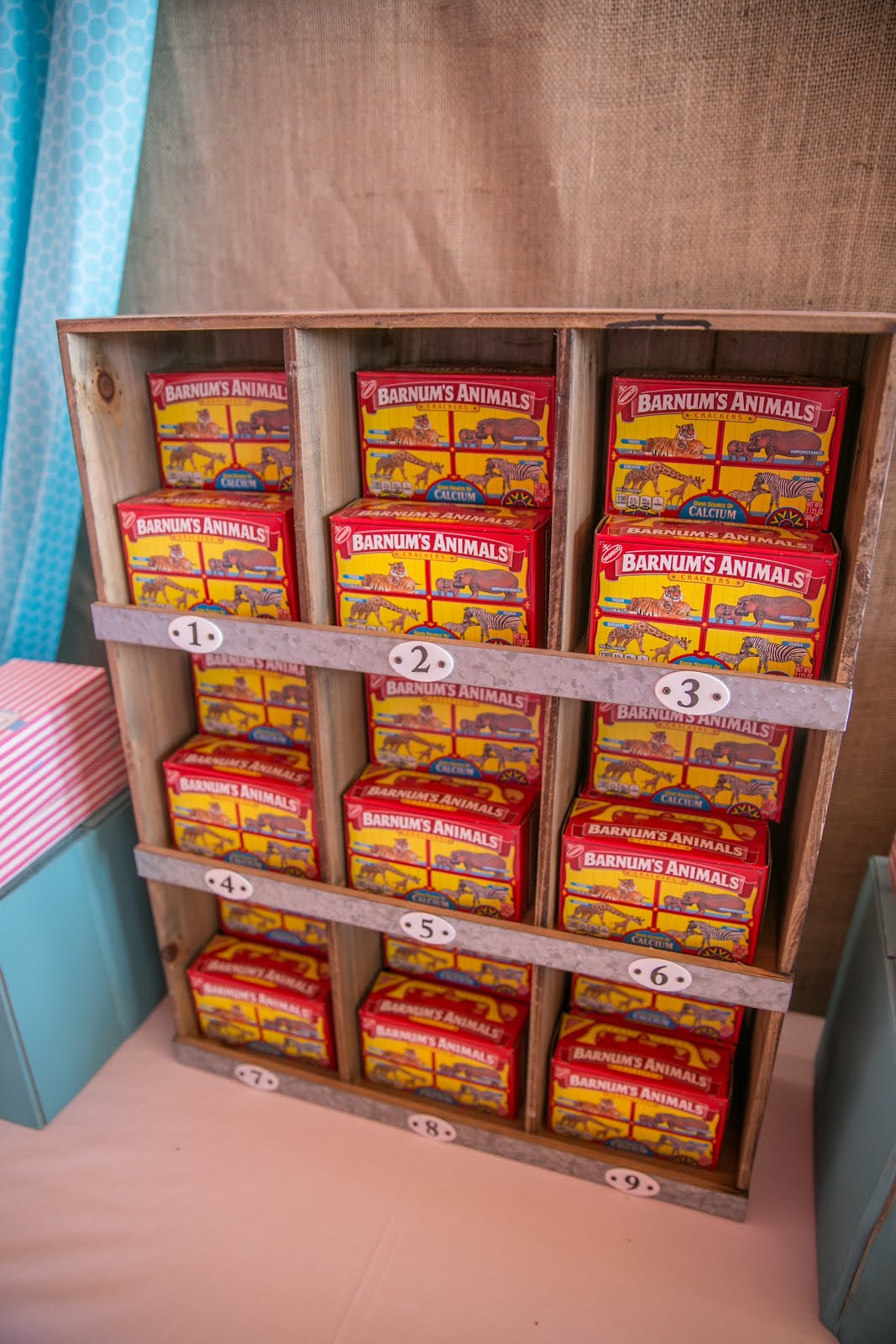 The Hunt Family: CIRCUS 1st Birthday Party