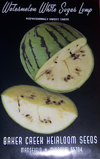 Garden Girl: White Sugar Lumps Watermelon