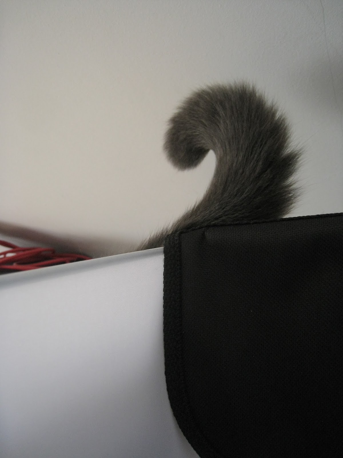 Naily perfect: China Glaze Red Essence swatch + furry invasion!