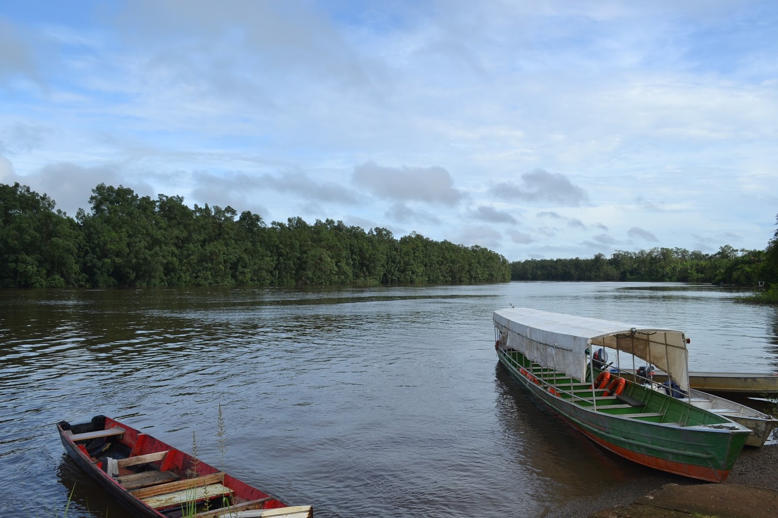 A LA DECOUVERTE DU PARADIS VERT: LE VILLAGE FAVARD