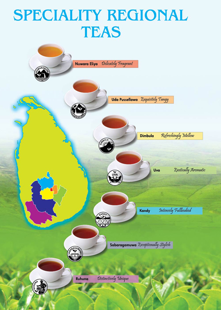 Thee, natuurlijk !: Three Teas Tasted: Ceylon