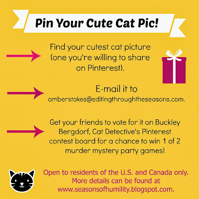 Buckley and Bogey Cat Detective Capers