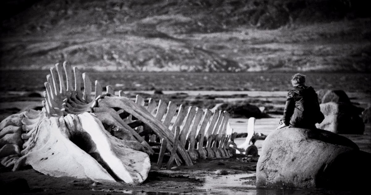 [ Âmago Profundo ]: Veja o Reflexo [Do monstro marinho]