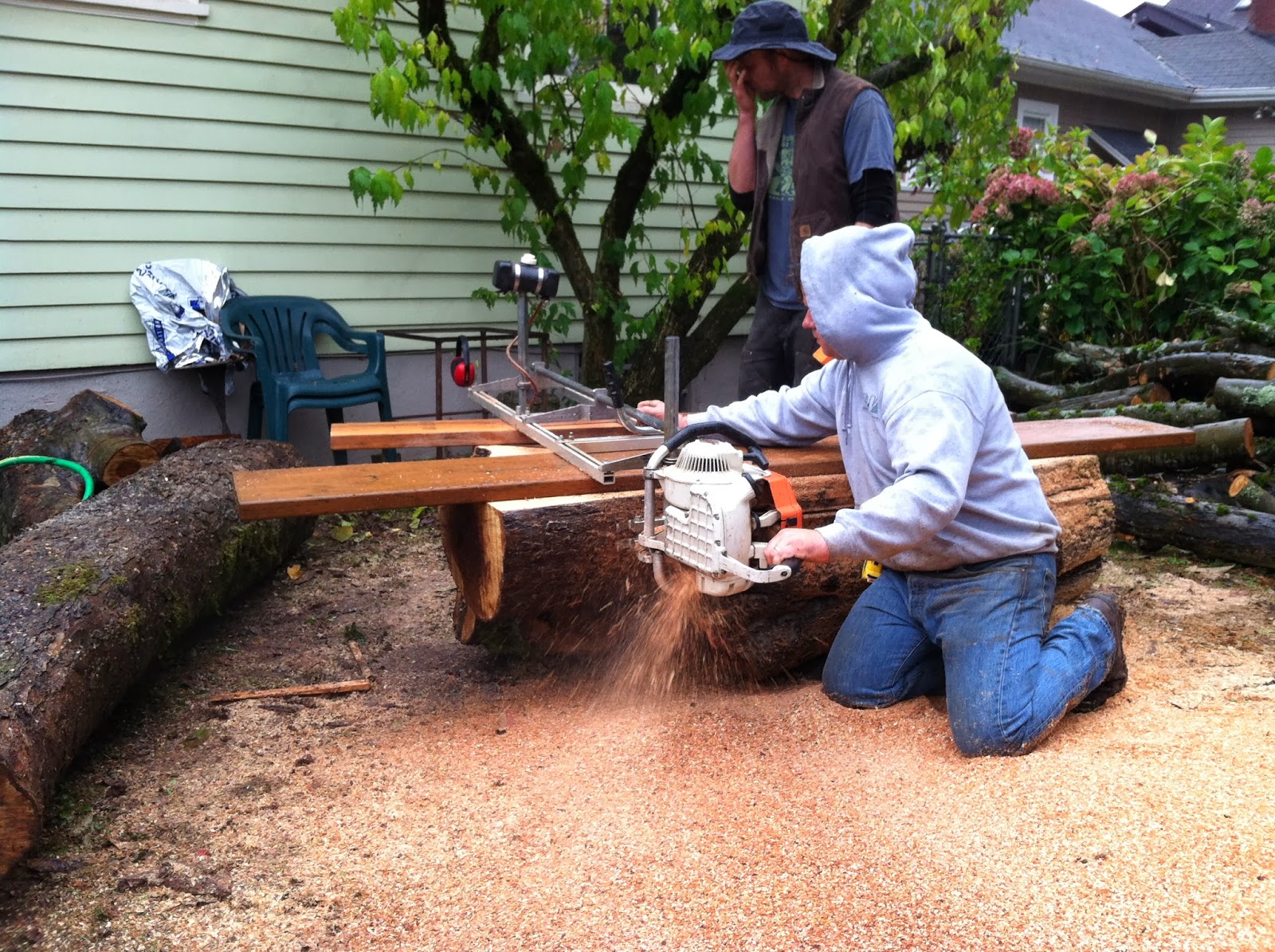Five Fifths Furniture: The largest Apple tree in the world meets its match