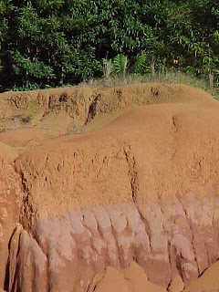 lasplantas5521: EL SUELO Y SUS CARACTERÍSTICAS