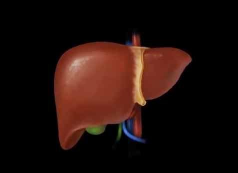 Kesehatan dan kiat-kiat untuk sehat