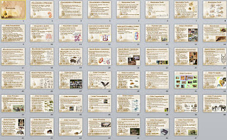 The Lesson Guide: Animal Kingdom: Mammals Unit Bundle - 8 files