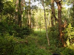 KERALA THE LAND OF RIVERS /FISHES/ WATERFALLS/ BEACH/ LAKE/ DAMS ...