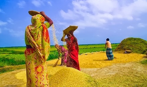 Culture Of Bangladesh: Nobanno Utshob