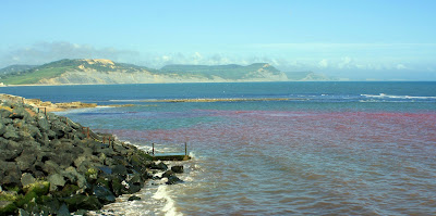 Red Tide Fears Cleared Up