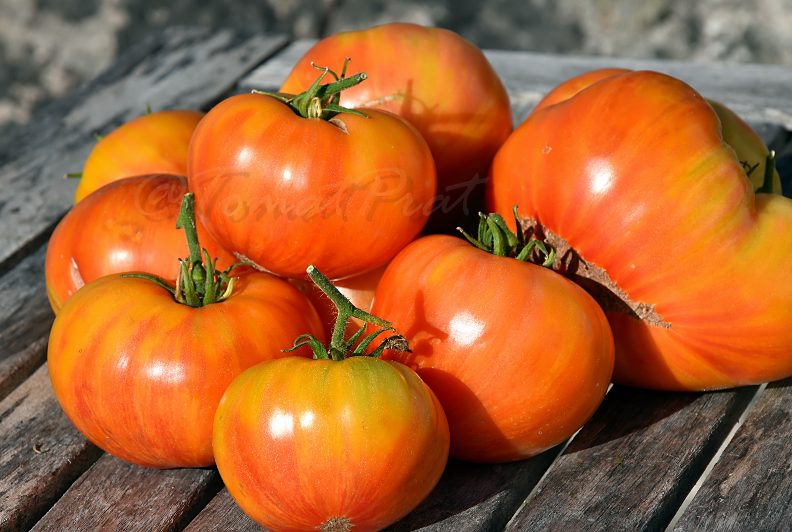 Helenes Tomater: Dwarf Confetti