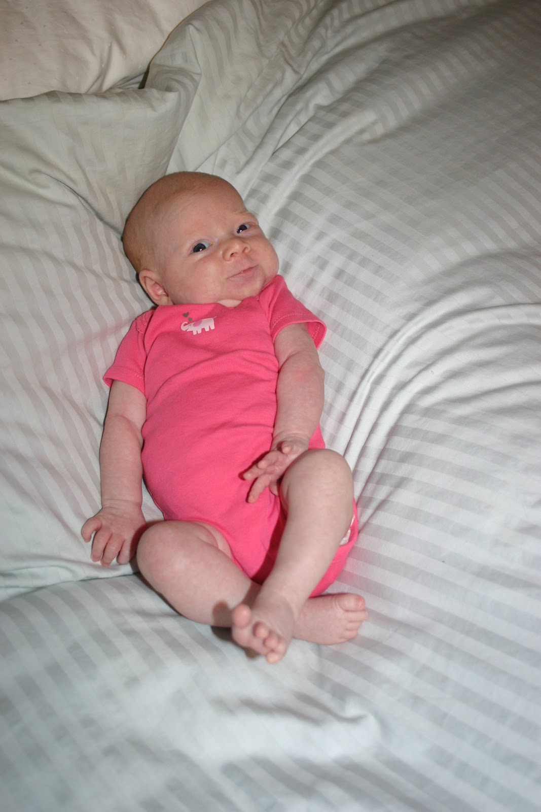 Learning Curve: Baby Fashion Show