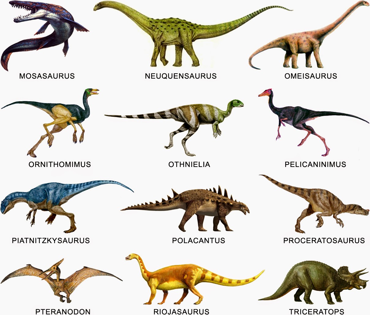 JUGANDO AL SABER: EL MUNDO DE LOS DINOSAURIOS LLEGA AL COLEGIO JUGANDO AL SABER: EL MUNDO DE LOS DINOSAURIOS LLEGA AL COLEGIO