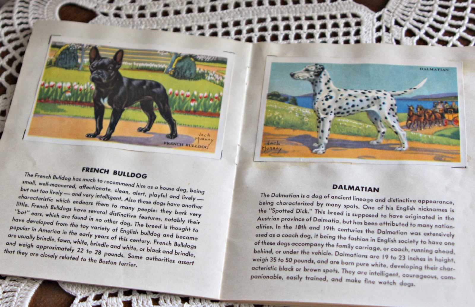 Moonbeams & Fireflies: This Treasure Is So Doggone Cute