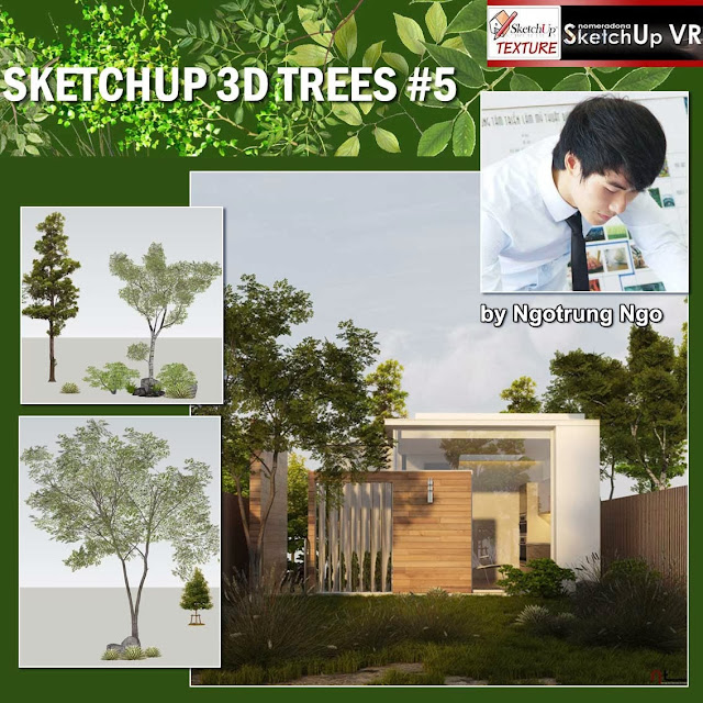 SKETCHUP TEXTURE: SKETCHUP FREE 3D MODEL TREES #5