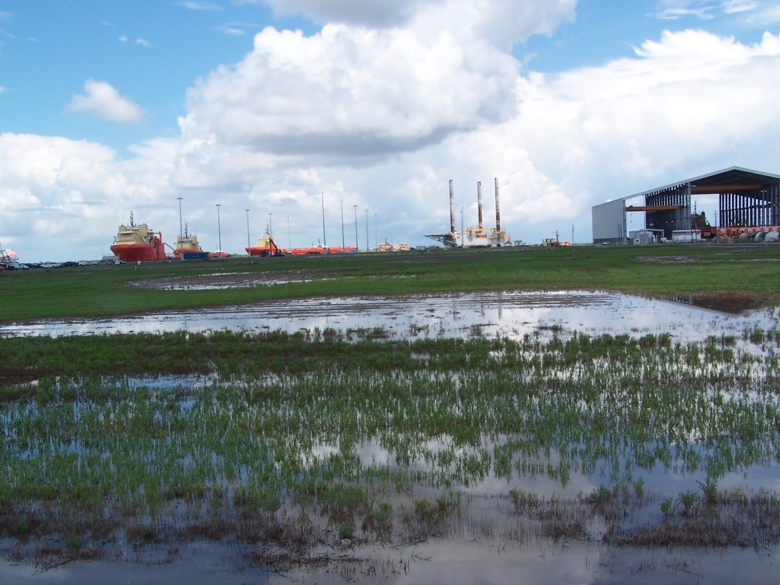 The Nature Dude: back to the island...