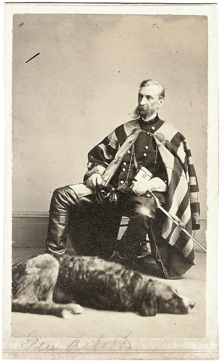 historia i ja: The Civil War & dogs