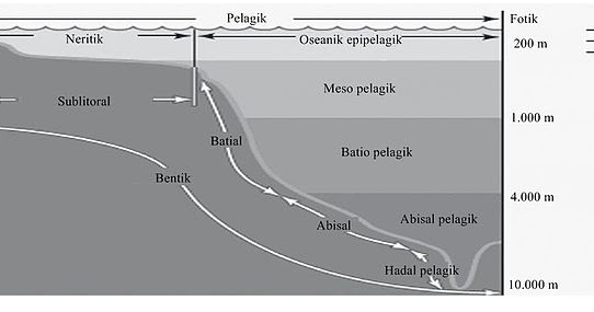 Pembagian Laut Berdasarkan Luas dan Letaknya Serta zonifikasinya ...