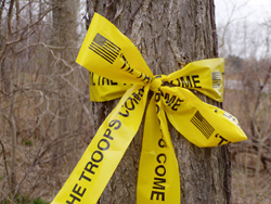 Mark's Urban Forest: Veteran's Day and Tying a Yellow Ribbon Around An ...
