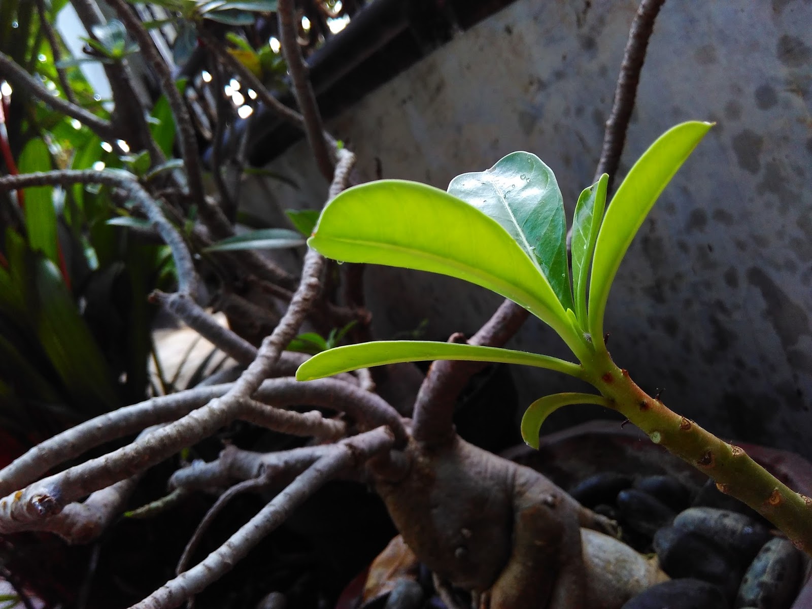 Macam macam angle kamera dalam fotografi | Prasetyo Art