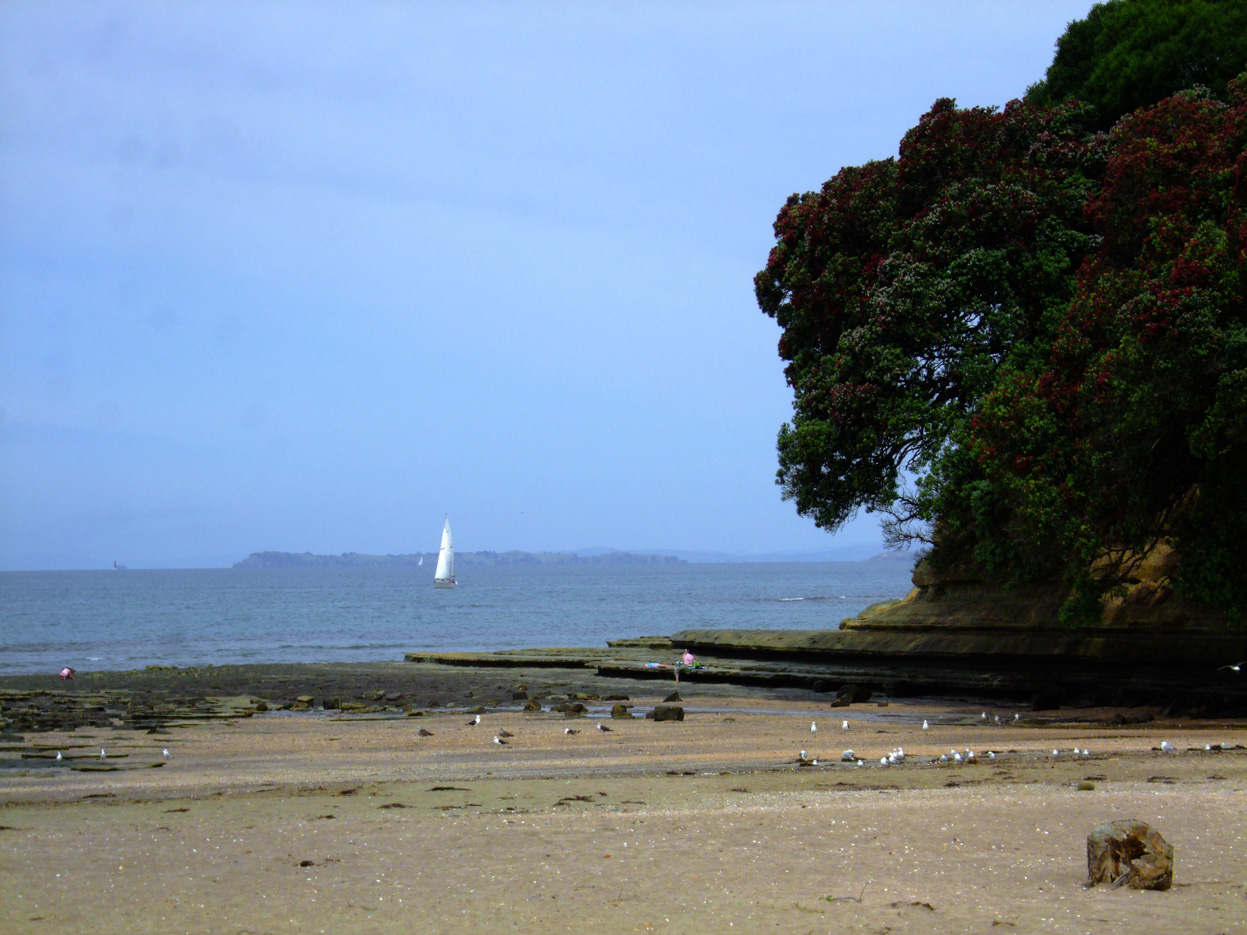 NixPixMix: LONG BAY, AUCKLAND, NEW ZEALAND