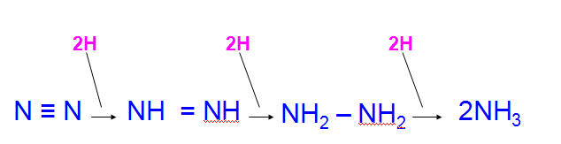 Quá trình cố định nitơ phân tử