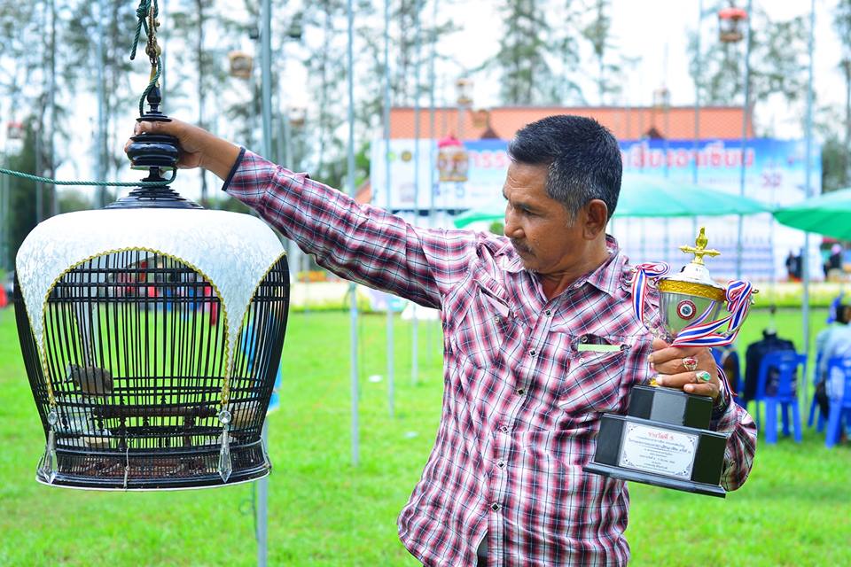 Janine Art Exhibition: งานมหกรรมแข่งขันนกเขาชวาเสียงอาเซียน:ASEAN ...