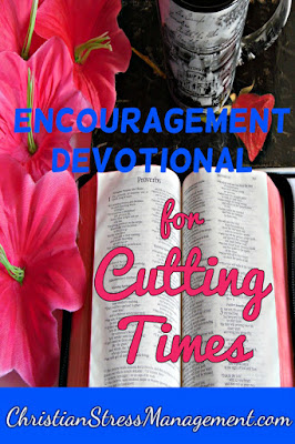 Christian Stress Management: Free Daily Devotions