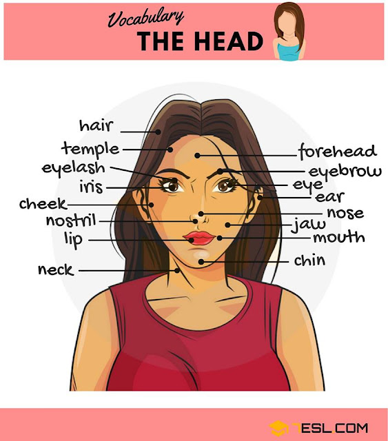 English is FUNtastic: Vocabulary - the head