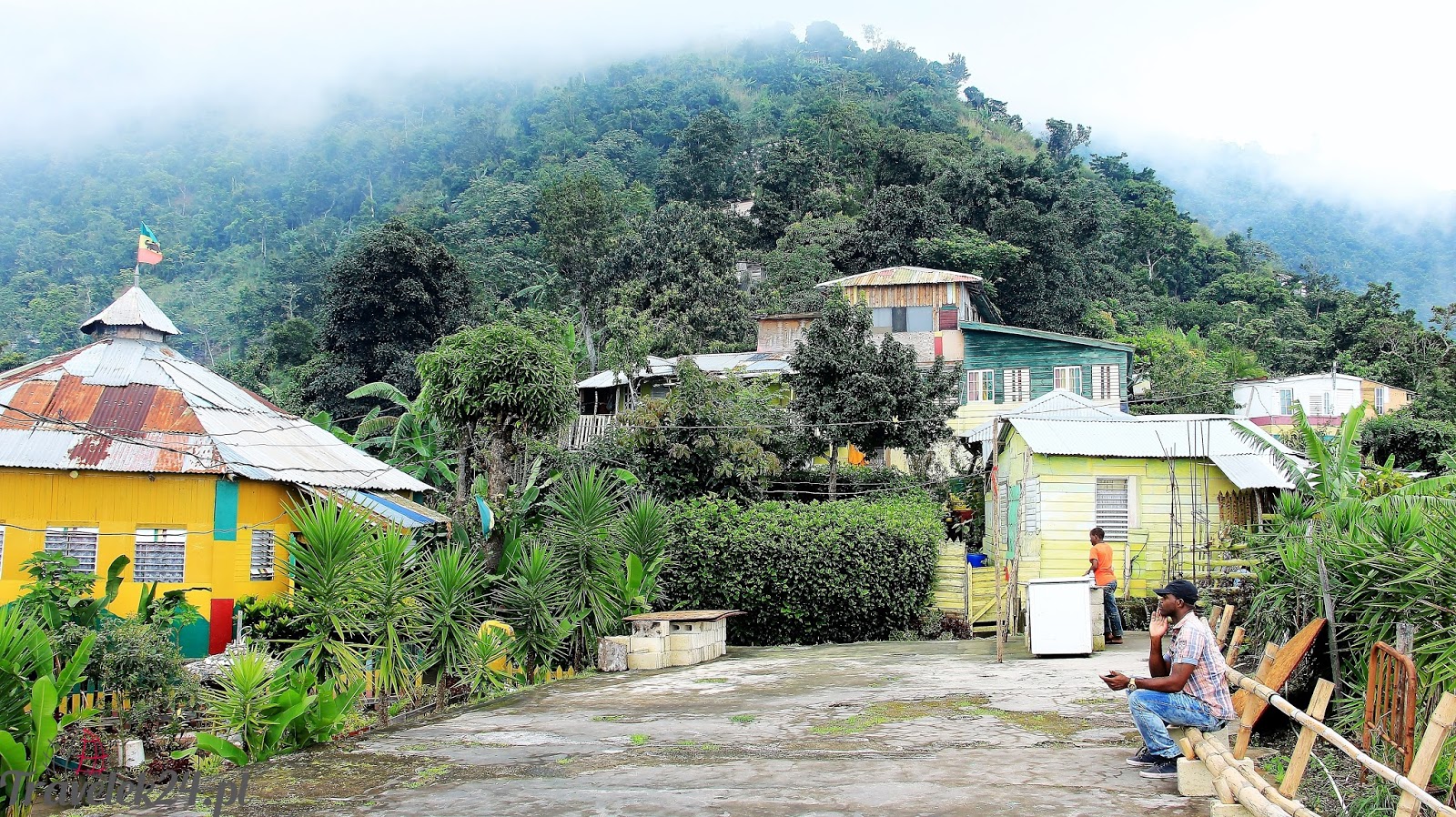 Rasta Camp w Górach Błękitnych na Jamajce