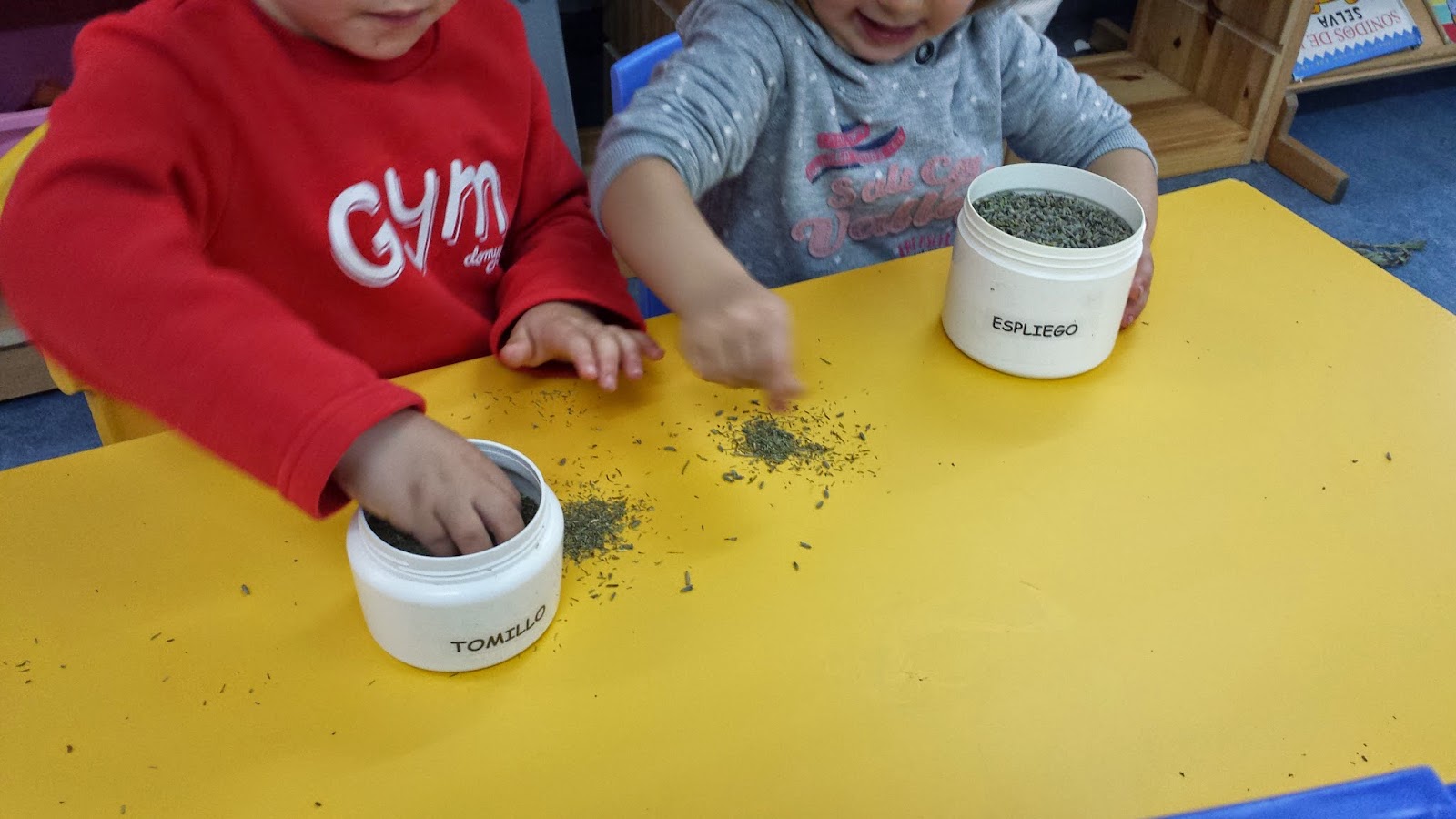 Escuela Infantil RETAMAR: EXPERIMENTANDO CON LOS OLORES