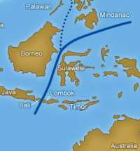 Science matters: Wallace Line
