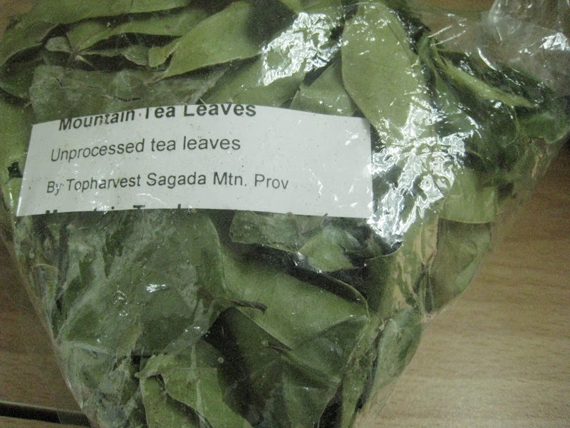 Maybe She's That Girl: Mountain Tea