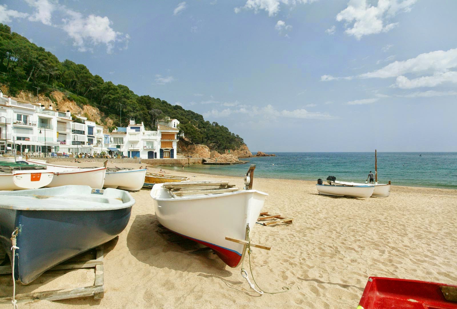POESIA I EXCURSIONISME: Tamariu, Cala Pedrosa ( La Musclera ), Aigua ...