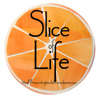 TeacherDance: Daily Slice Search