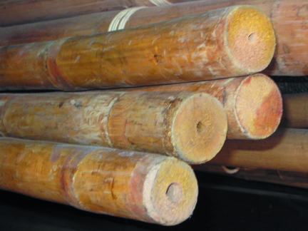 2''.dia Bamboo Poles 12(ft)-Real hard/Solid/Max Thick Wall|4''.dia ...