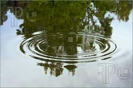 Creative Allsorts: Module 5 Chapter 8 completed