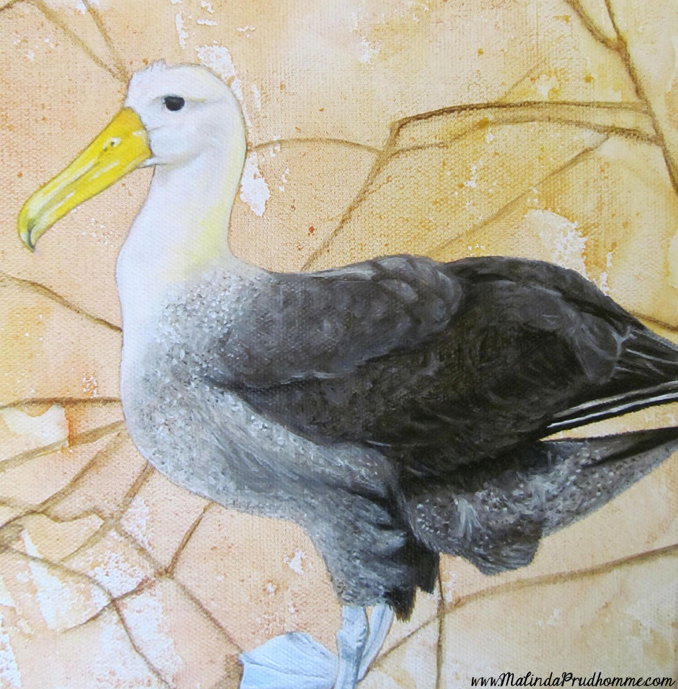 Malinda Prud'homme: A Mixed Media Artist's Blog: Courtship Of The Waved ...