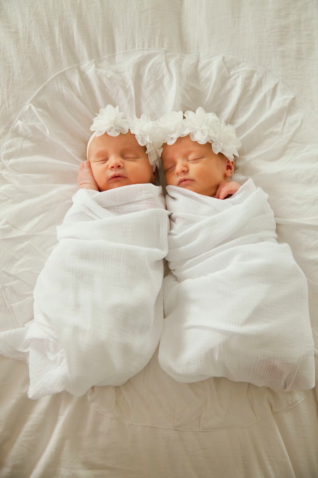 Adri Freeman Photography: Babies 2014