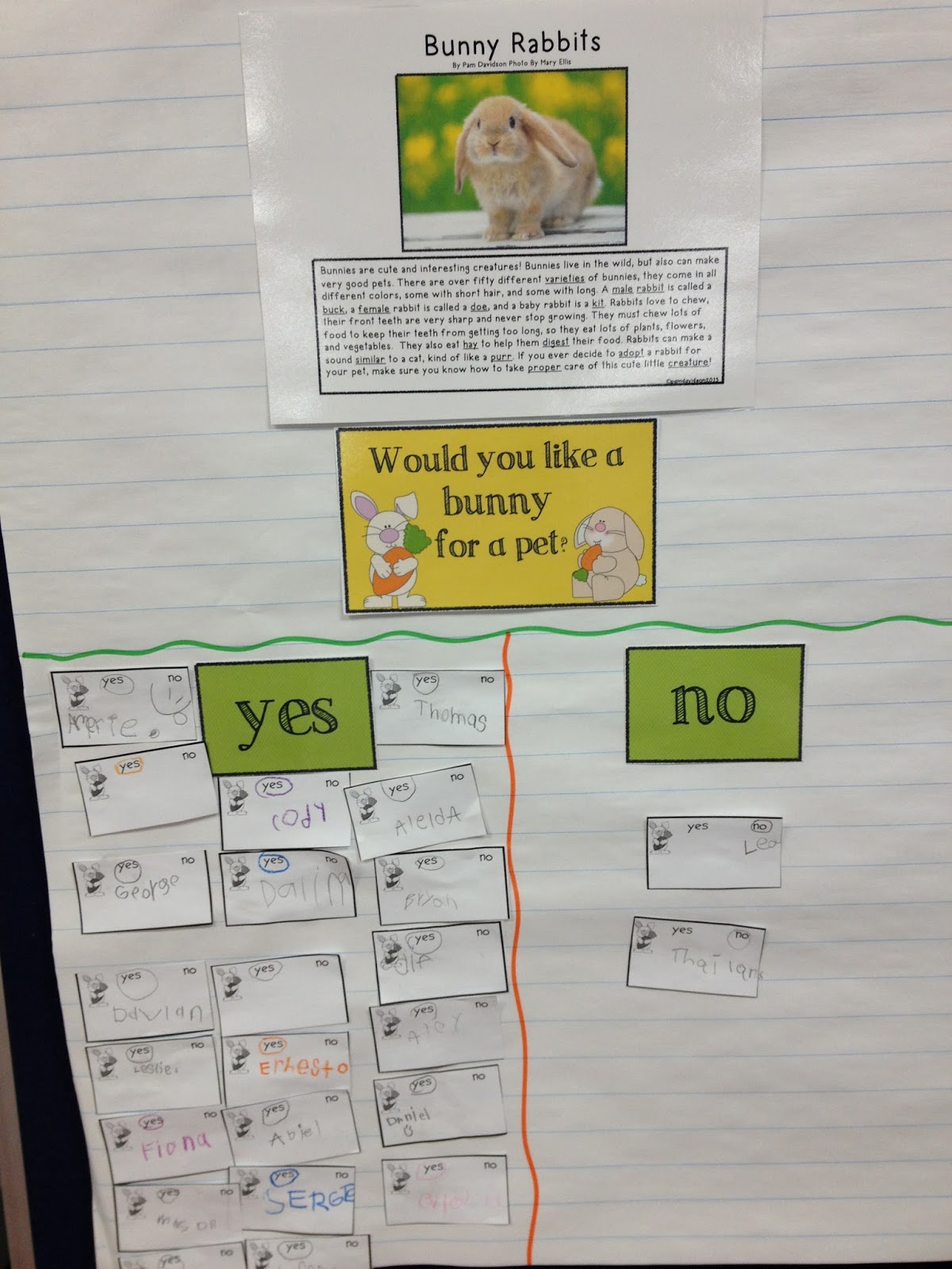 Bits About Bunnies! A Literacy Mini Unit - Little Bird Kindergarten