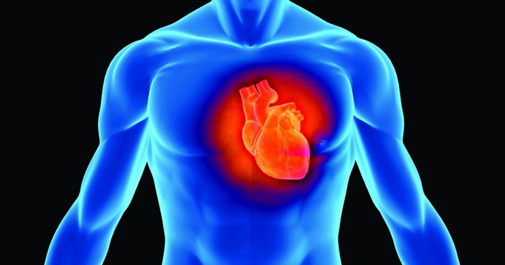 Enfermedades Cardiovasculares