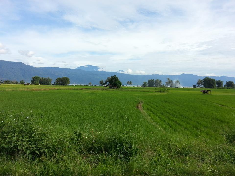 TEACH, TRAVEL & THINK!: TRAVEL: TRIP PADANG BUKITTINGGI (RANCAK BANAR!) I