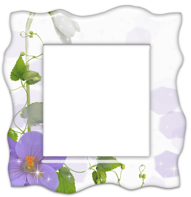 ForgetMeNot: Cluster spring frames